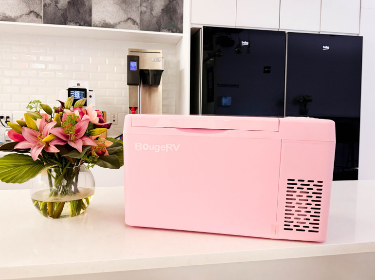 Springtime Picnics Elevated: The BougeRV Colorful Fridge Unpacked ...