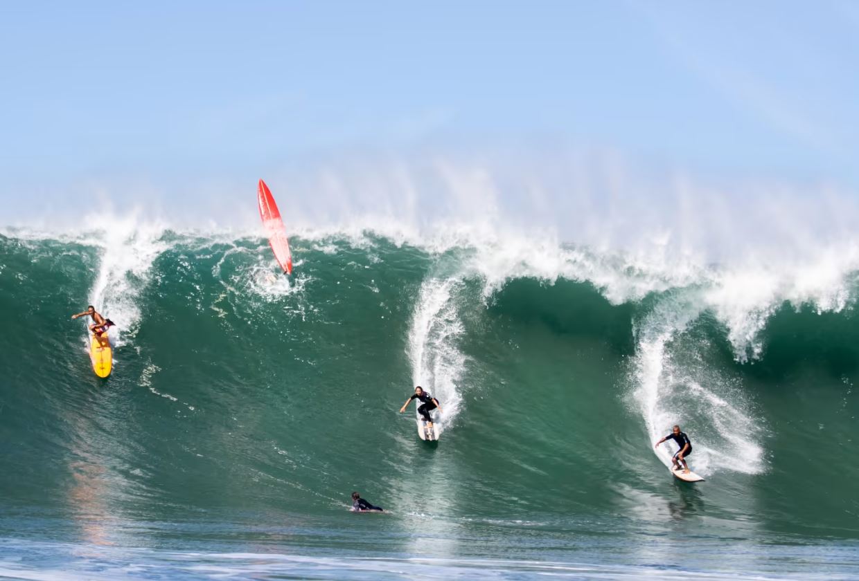 The Best Surf Competitions in The World - Cheap Surf Gear